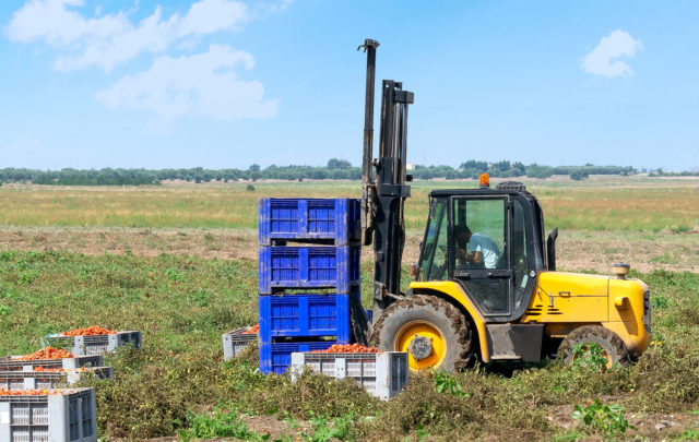 Common Forklift Rental Prices For Your Next Project | BigRentz