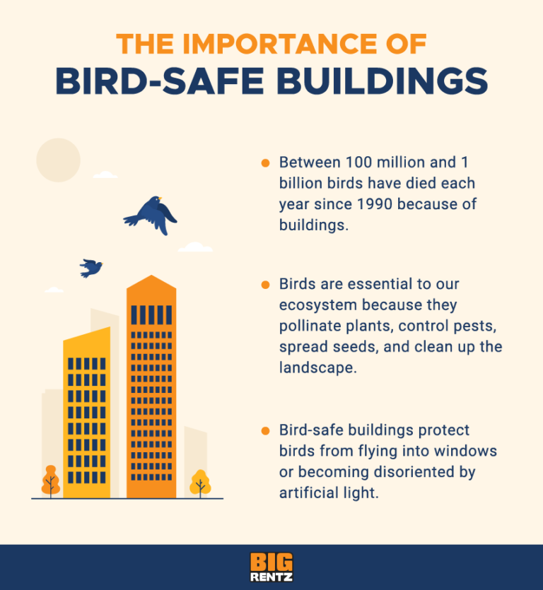 How to Design Bird-Safe Buildings | BigRentz