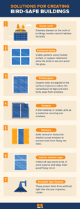 How to Design Bird-Safe Buildings | BigRentz